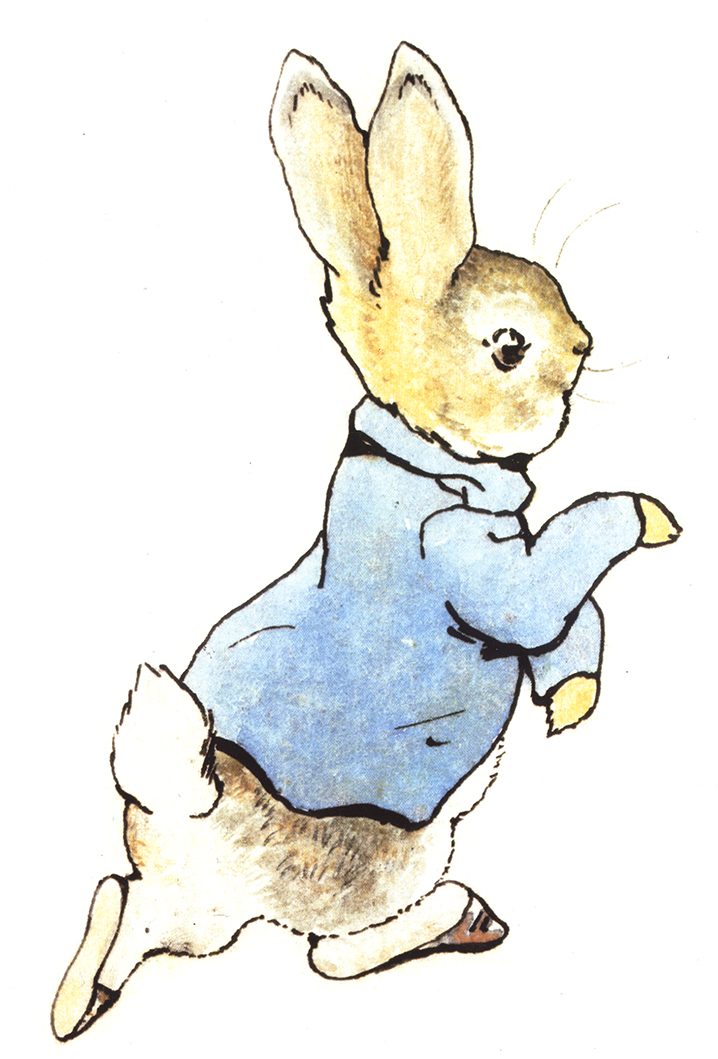 peter rabbit | Jacksonville Magazine