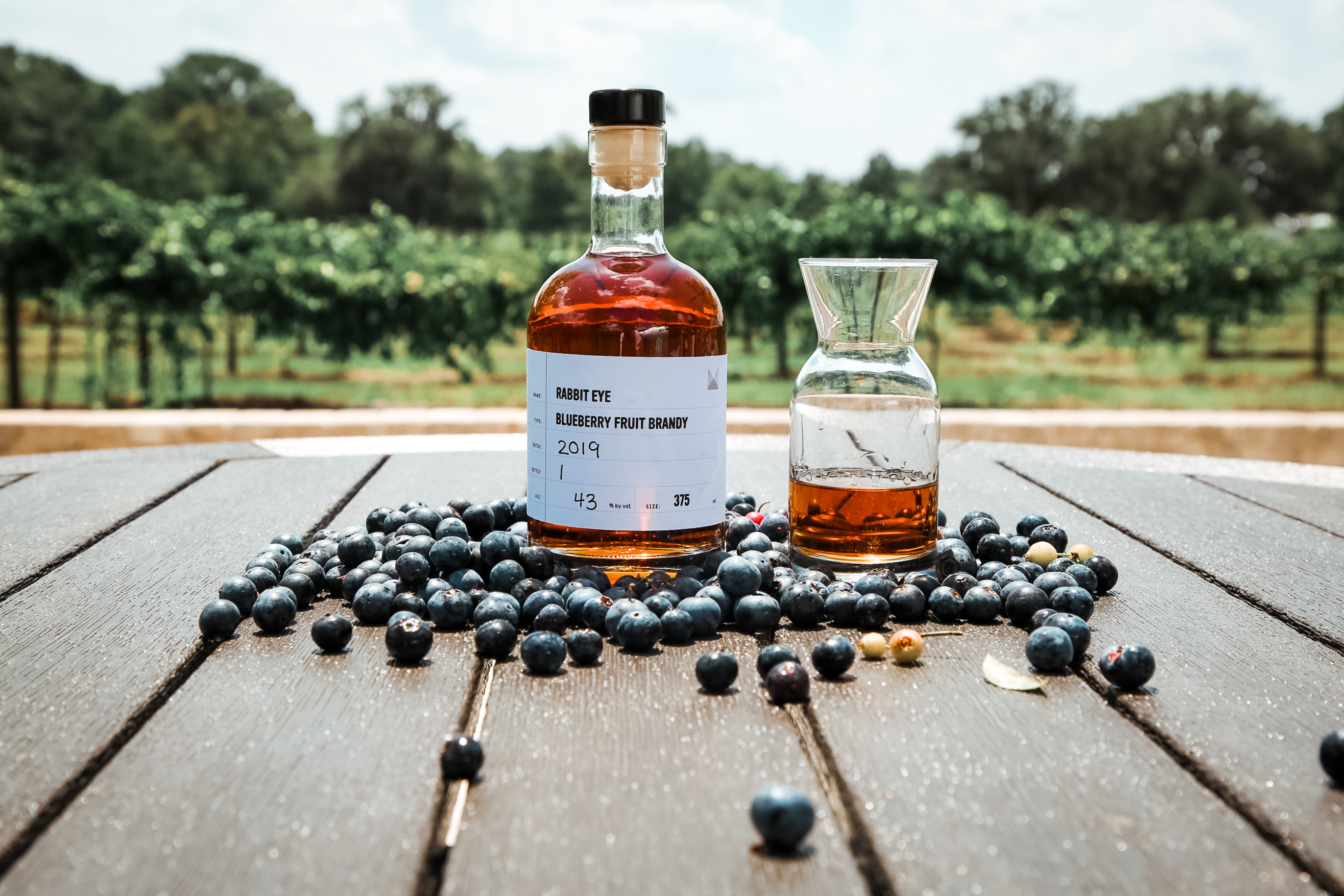 Manifest Distilling is launching blueberry brandy | Jacksonville Magazine