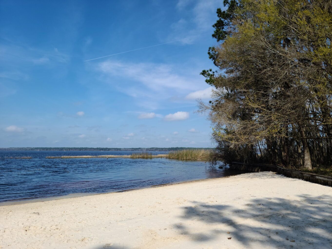 A Walk in the Park | Jacksonville Magazine